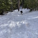 Burro Loop Trail, Colorado - 717 Reviews, Map | AllTrails