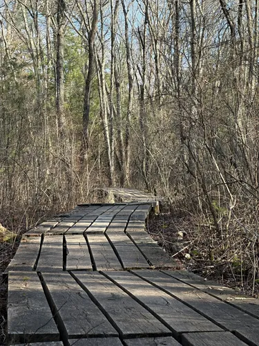 Best Forest Trails in Rehoboth | AllTrails