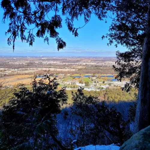 Best Forest Trails in Mount Nemo Conservation Area | AllTrails