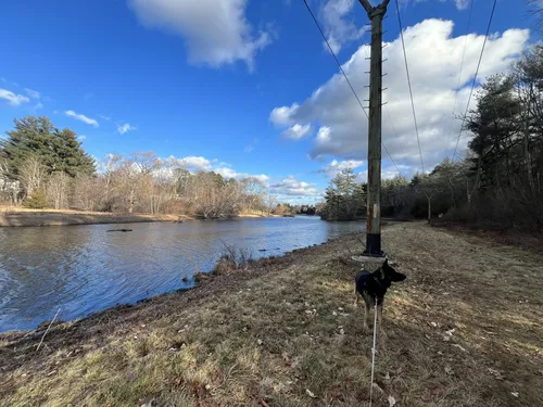 Best Hikes and Trails in Beals Preserve | AllTrails