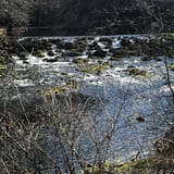 Maramec Spring River Walk, Missouri - 201 Reviews, Map | AllTrails