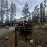 Dinkey Lakes Trail, California - 355 Reviews, Map | AllTrails