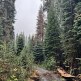 Dinkey Lakes Trail, California - 355 Reviews, Map | AllTrails