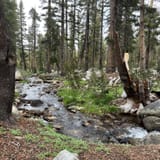 Dinkey Lakes Trail, California - 341 Reviews, Map | AllTrails