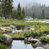 Dinkey Lakes Trail, California - 341 Reviews, Map | AllTrails