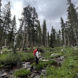 Dinkey Lakes Trail, California - 341 Reviews, Map | AllTrails