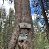 Dinkey Lakes Trail, California - 341 Reviews, Map | AllTrails