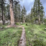 Dinkey Lakes Trail, California - 341 Reviews, Map | AllTrails