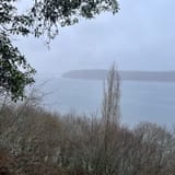 Point Defiance Park Outer Loop, Washington - 3,733 Reviews, Map | AllTrails