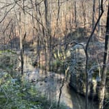Chestnut Ridge Heritage Preserve Trail, South Carolina - 1,472 Reviews ...