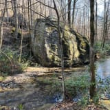 Chestnut Ridge Heritage Preserve Trail, South Carolina - 1,472 Reviews ...