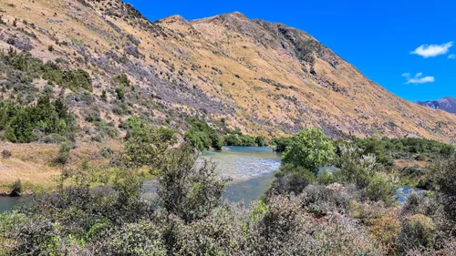 10 Best Hikes and Trails in Lake Sumner Forest Park | AllTrails