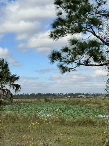 Best Hikes and Trails in Shell Creek Preserve | AllTrails