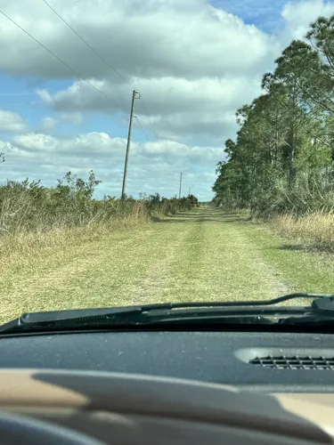 Best Hikes and Trails in Shell Creek Preserve | AllTrails