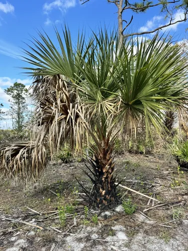 Best Hikes and Trails in Shell Creek Preserve | AllTrails