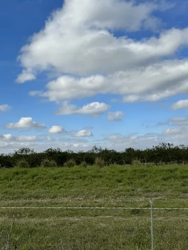 Best Hikes and Trails in Shell Creek Preserve | AllTrails