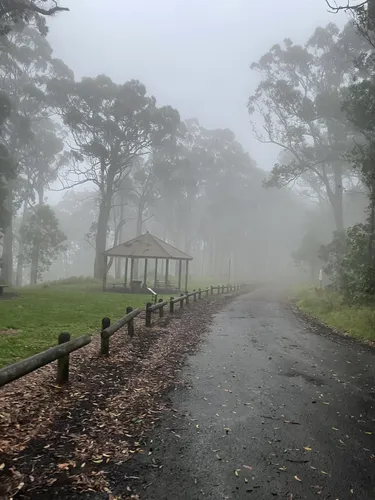 Best Hikes and Trails in Mount Buninyong Scenic Reserve | AllTrails