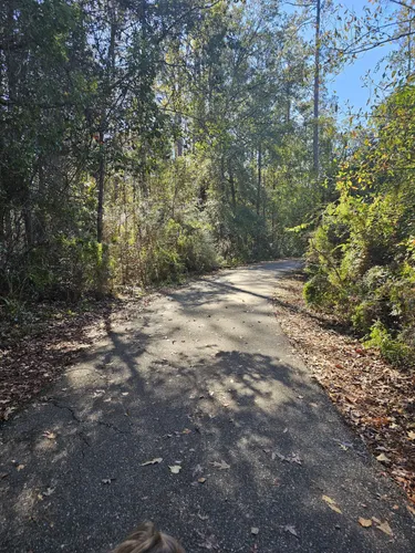 Best Trail Running Trails in John Slidell Municipal Park | AllTrails
