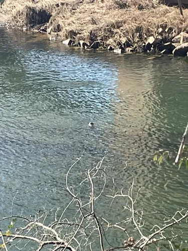 Best Hikes and Trails in West Point River Park | AllTrails