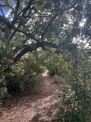Best Hikes and Trails in Caroline Park | AllTrails