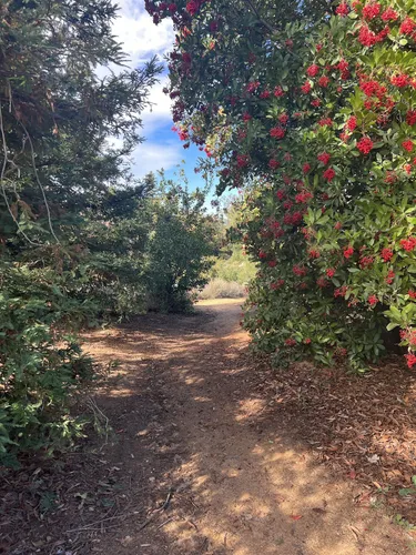 Best Hikes and Trails in Caroline Park | AllTrails