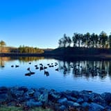 Westborough Reservoir Loop, Massachusetts - 493 Reviews, Map | AllTrails