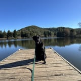 Spring Lake Loop, California - 1,533 Reviews, Map | AllTrails