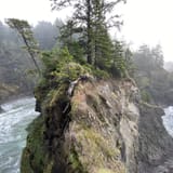Secret Beach Trail, Oregon - 1,223 Reviews, Map | AllTrails