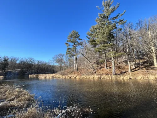 Best Forest Trails in Rochert | AllTrails