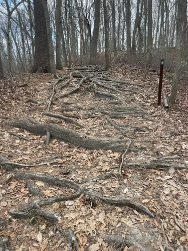 Best Hikes and Trails in Cheesequake State Park | AllTrails