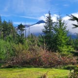 Tamanous Trail to PCT & Gillette Lake, Washington - 254 Reviews, Map ...