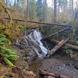 Mima Falls East Trail, Washington - 1,730 Reviews, Map | AllTrails