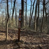 Daniel Ridge Loop, North Carolina - 1,793 Reviews, Map | AllTrails