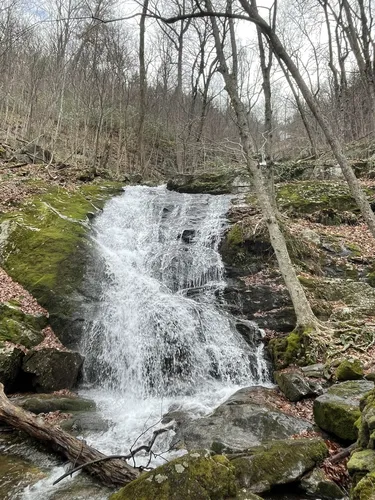Best Waterfall Trails in Vesuvius | AllTrails