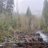 Upper Big Creek Loop, Washington - 2,545 Reviews, Map | AllTrails