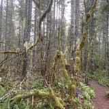 Upper Big Creek Loop, Washington - 2,545 Reviews, Map | AllTrails