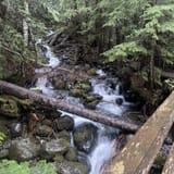 Upper Big Creek Loop, Washington - 2,545 Reviews, Map | AllTrails