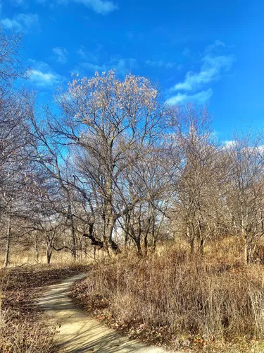 Best Hikes and Trails in West Ridge Nature Preserve | AllTrails