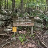 Buggytop Trail to Lost Cove Cave, Tennessee - 750 Reviews, Map | AllTrails