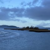 Padilla Bay Trail, Washington - 669 Reviews, Map | AllTrails