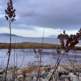 Padilla Bay Trail, Washington - 669 Reviews, Map | AllTrails