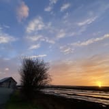 Padilla Bay Trail, Washington - 669 Reviews, Map | AllTrails