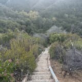 Murphy Ranch Trail, California - 3,555 Reviews, Map | AllTrails