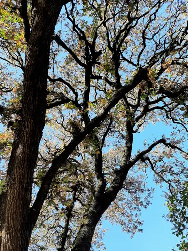 Best Hikes and Trails in Modesto | AllTrails