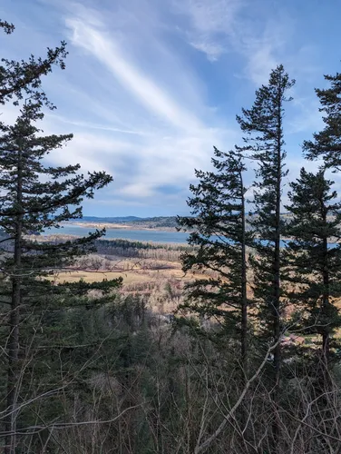 Best Hikes and Trails in Guy W. Talbot State Park | AllTrails