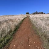 Serrano Trail, California - 57 Reviews, Map | AllTrails