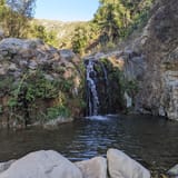 Cold Spring Loop, California - 1,943 Reviews, Map | AllTrails
