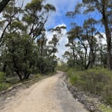 Gerringong Falls via Budderoo Fire Trail, New South Wales, Australia ...