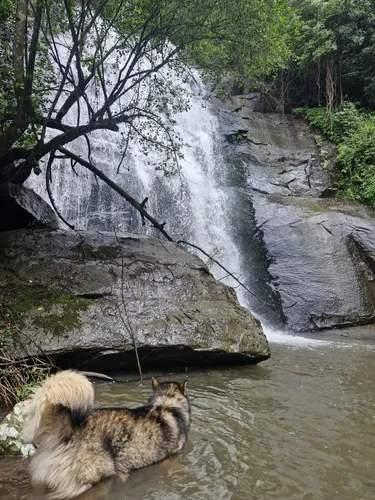 Best Waterfall Trails in Hogsback | AllTrails