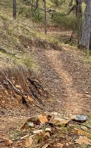 Best Walking Trails in Livingstone National Park | AllTrails